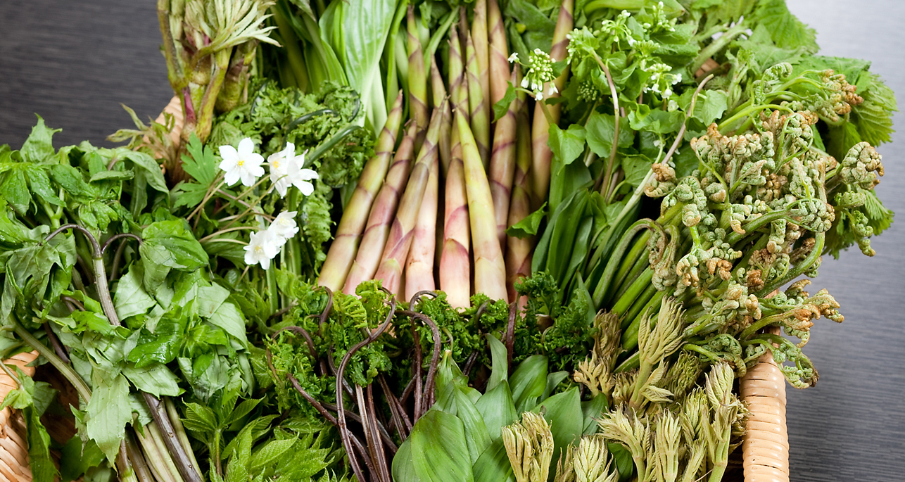 Wild vegetable dishes (Boys' Festival) ｜Sansai Ryori Tamaki